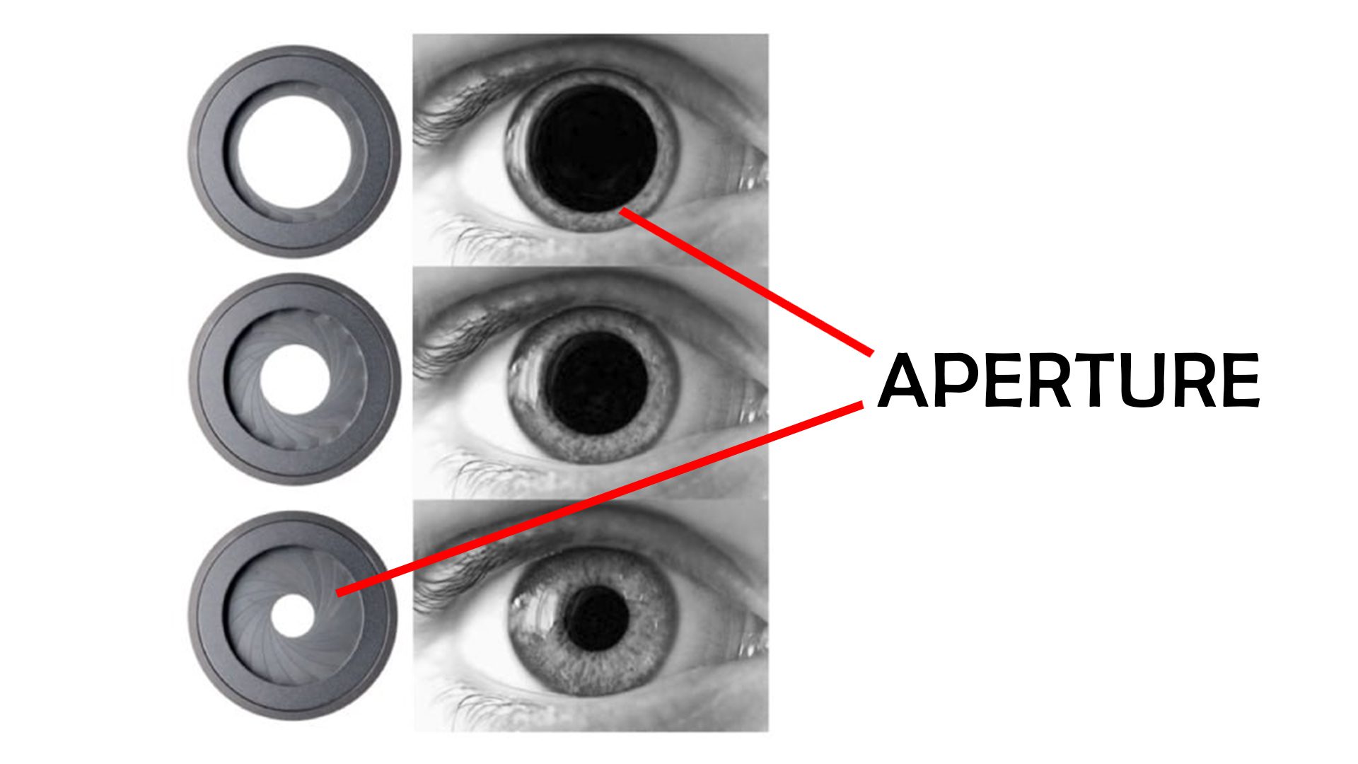 Camera Aperture in Photography: Find the Right Aperture for Your Needs